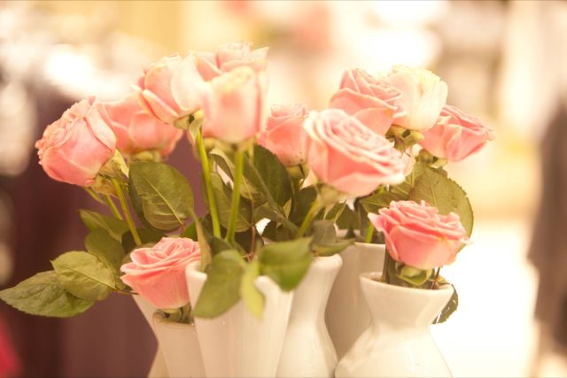 Photos from the Official Launch of the Etam Lingerie Store in Lagos ...