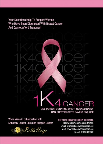 Breast Cancer Awareness Month: Support the 1k4 Cancer Campaign | BellaNaija