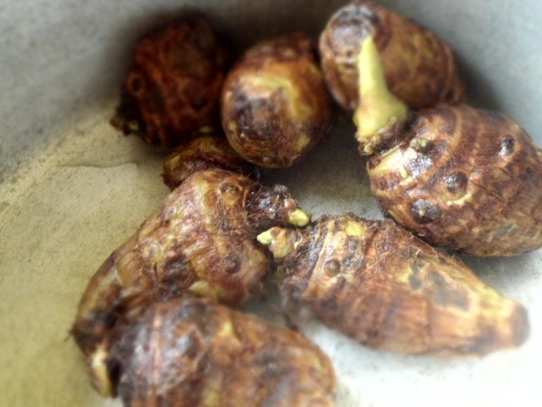 BN Cuisine with Dooney's Kitchen: The Ofe Owerri Controversy | BellaNaija