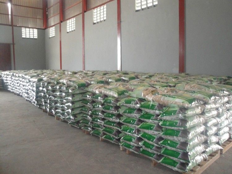 Introducing Miva Rice! Mikap Nigeria Ltd Unveils its Premier Locally ...