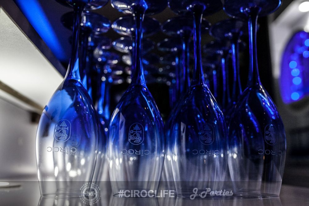 Guests Toast to the Ciroc Life in Lagos | Pictures from the November ...