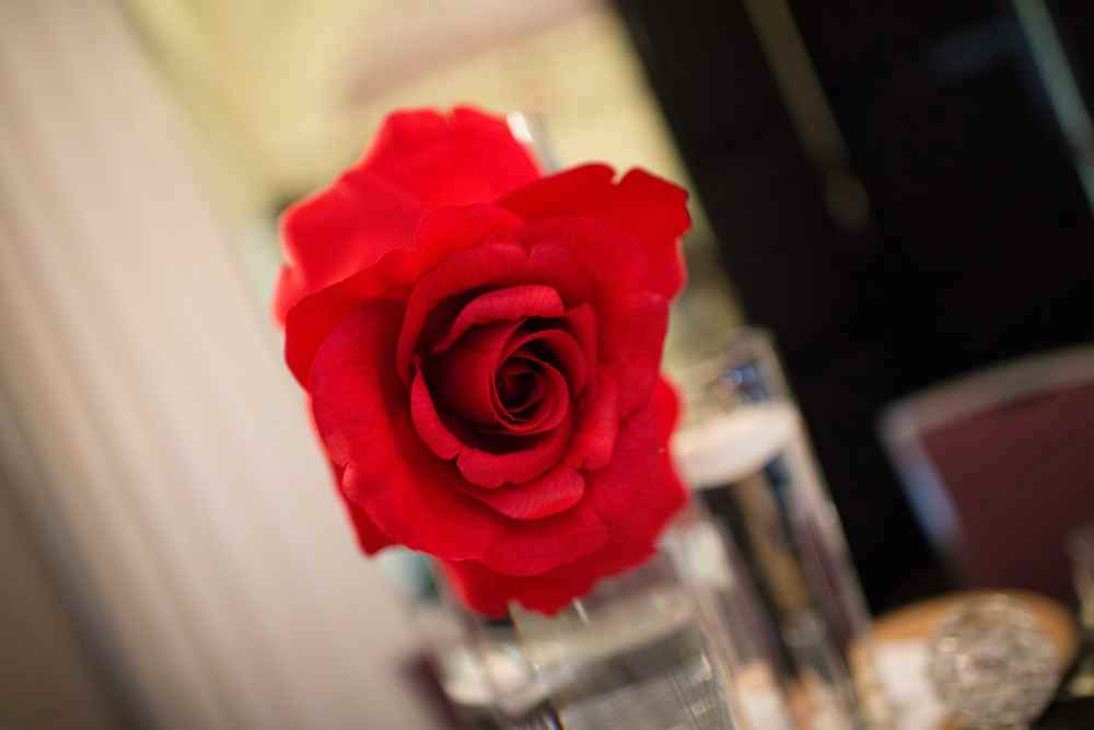 The Bond With Me 007 Valentine's Day Event in Washington DC was AMAZING ...