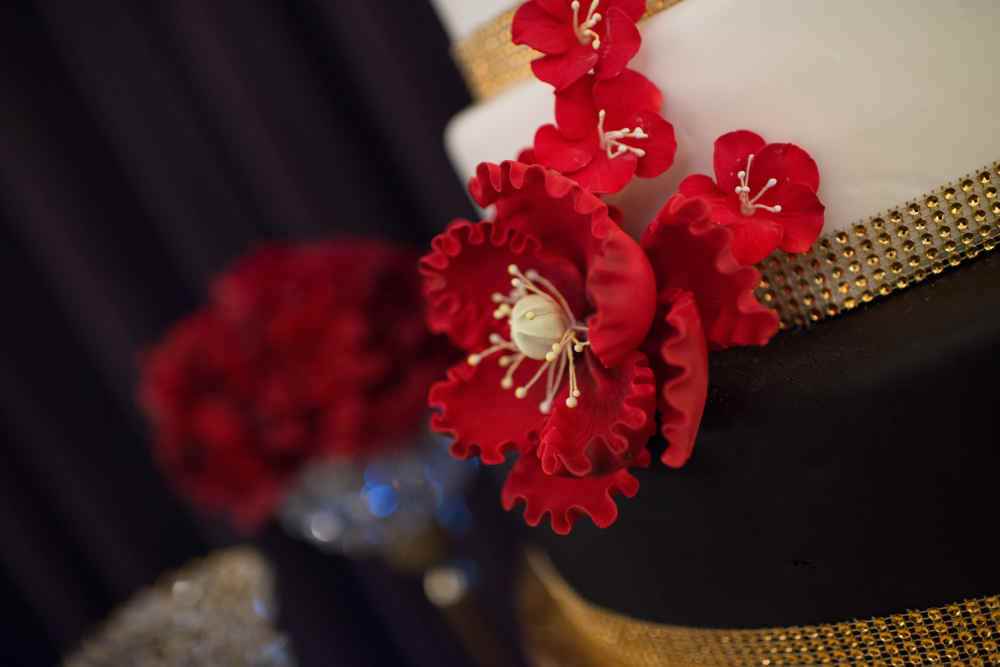 The Bond With Me 007 Valentine's Day Event in Washington DC was AMAZING ...