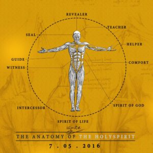 Ignite Fellowship presents "The Anatomy of the Holy Spirit" |Saturday ...