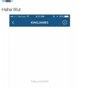 LeBron James Caught Sliding into Instagram Model Rachel Bush's DM ...