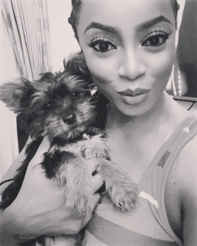 Flavour & his Many Dogs to Banky W & Duke, Toke Makinwa with Coco ...