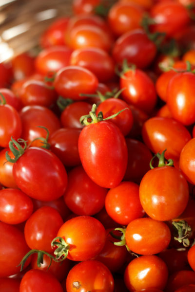 Tomato Scarcity: Heat Wave Destroyed Tomato Farms - Tomato Processor ...