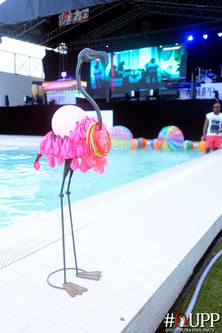 From Tropically Dressed Ushers to Vector Bringing Eye Masquerades on ...