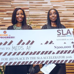 Fresh Direct NG, DeliveryBros and Medsaf Win 2016 She Leads Africa Demo ...