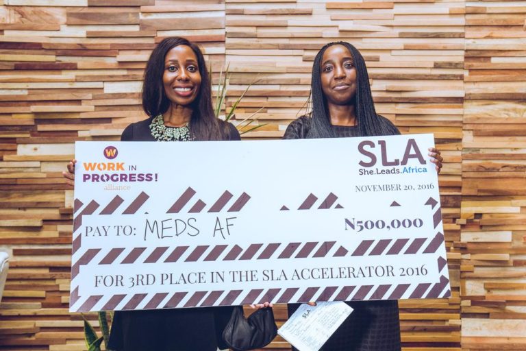 Fresh Direct NG, DeliveryBros and Medsaf Win 2016 She Leads Africa Demo ...