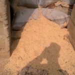 Mercy Abang: The Untold Stories of the Killing of Farmers in Niger ...