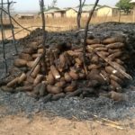 Mercy Abang: The Untold Stories of the Killing of Farmers in Niger ...