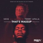 New Music: Sess x Terry Apala - That's Wassup | BellaNaija