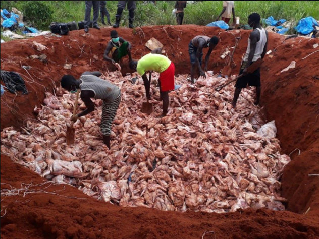 Customs Destroys N83M Worth of Frozen Poultry Products in Owerri
