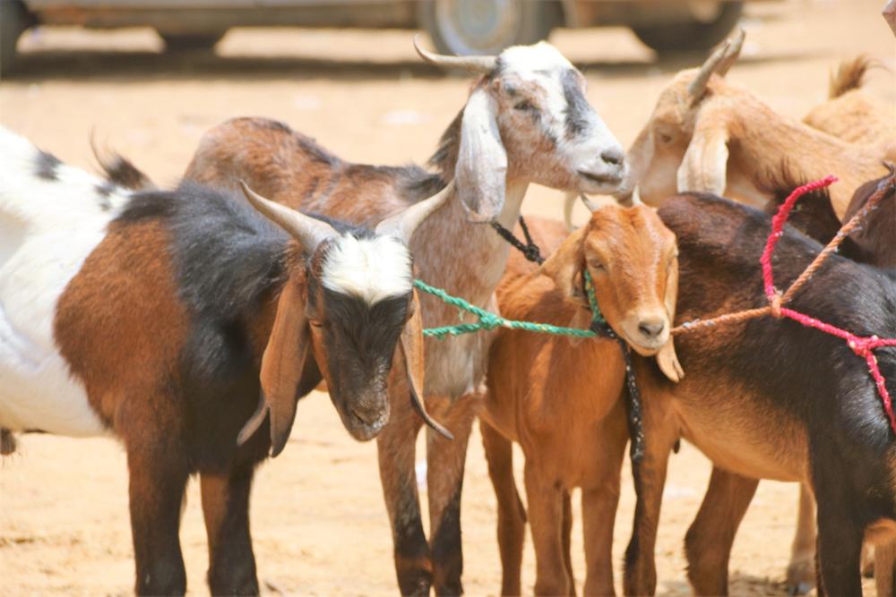 Mercy Abang: Restoring Hope to Boko Haram's Theatre of War | BellaNaija