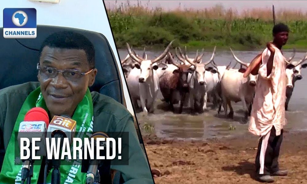 Mercy Abang: The Untold Stories of the Killing of Farmers in Niger ...