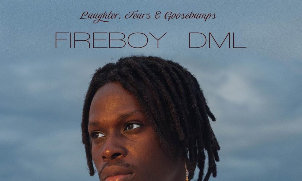 Fireboy DML’s album “Laughter, Tears & Goosebumps” is Here | Listen on ...