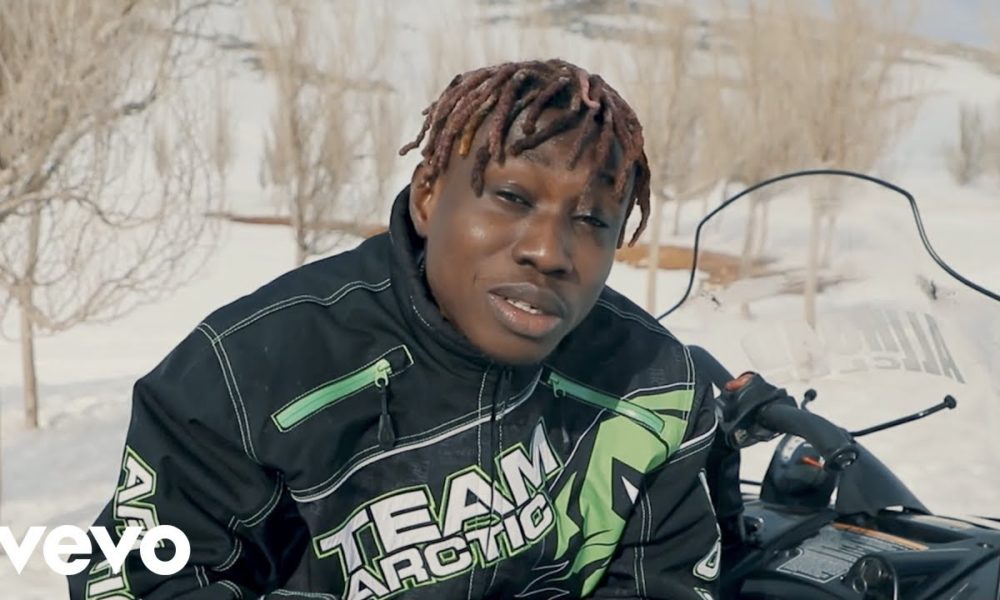 New Video: Zlatan - Life | BellaNaija