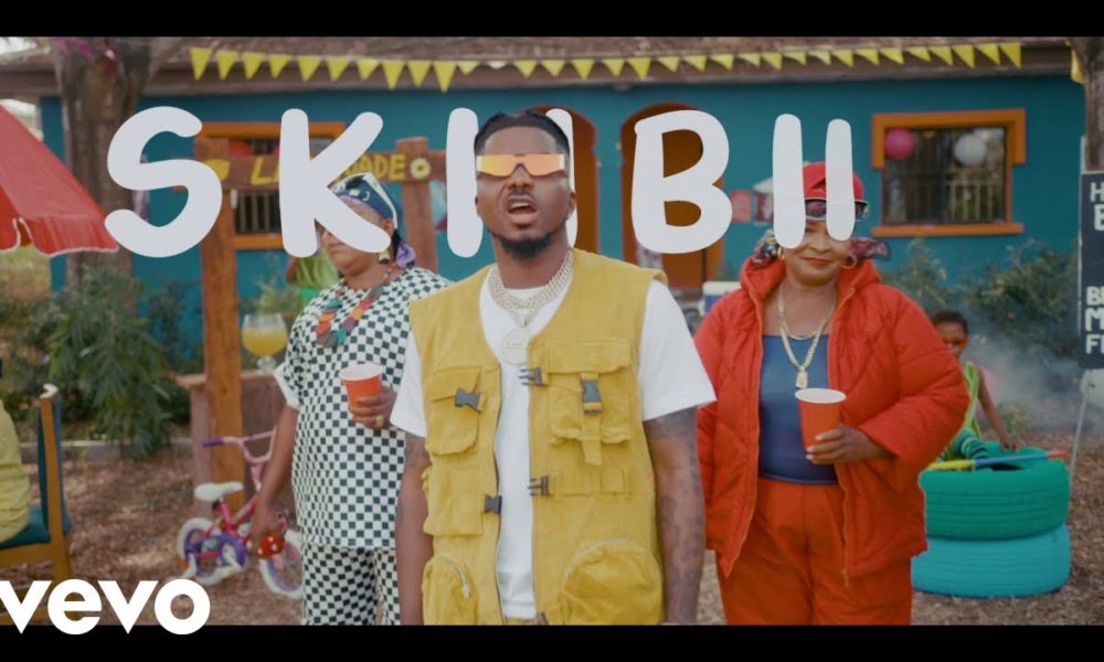 New Video: Skiibii - Are You Vhere | BellaNaija