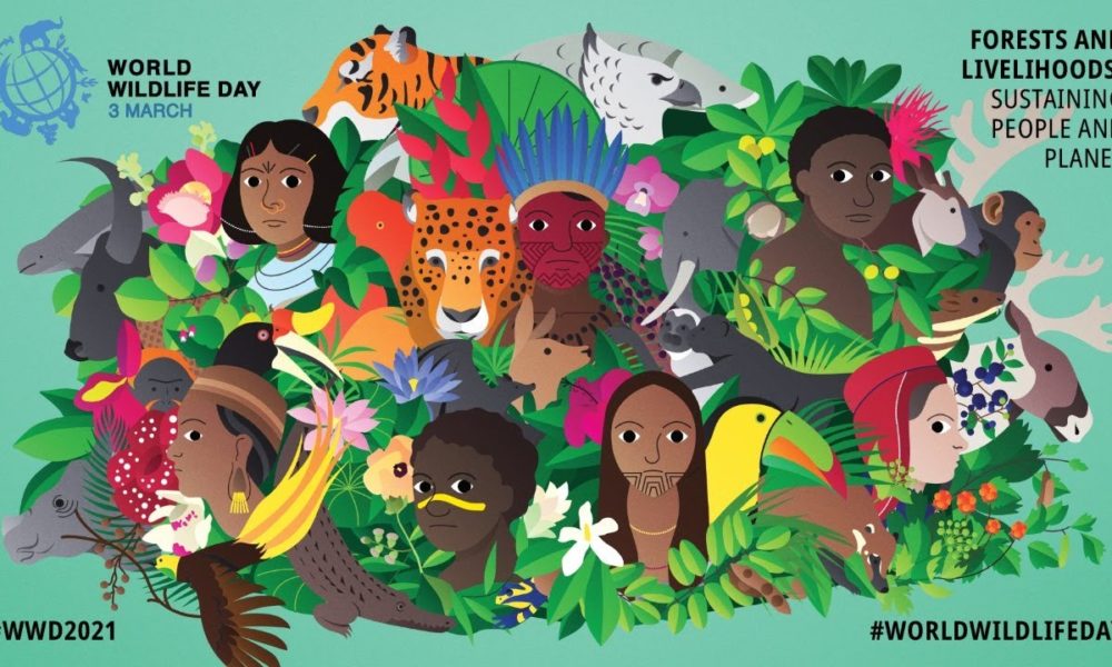 Adefolake Adekola: Let's Make Efforts to Sustain the Planet as We ...