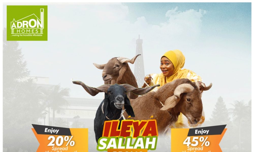 You Stand a Chance to Get 3 Rams in the Adron Ileya-Sallah Promo ...