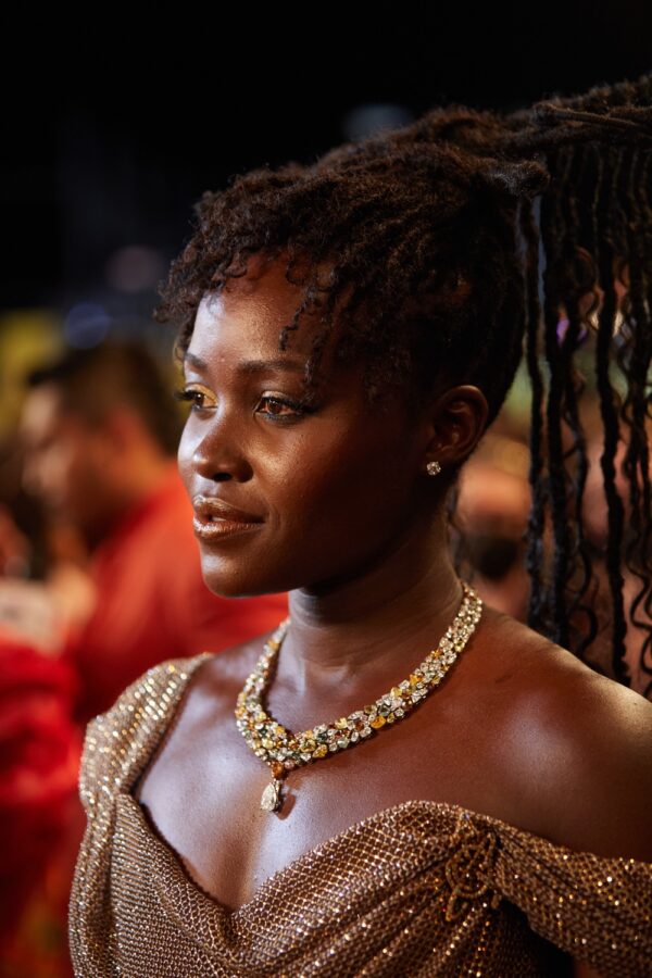 Your VIP Access into the "Black Panther: Wakanda Forever" African ...