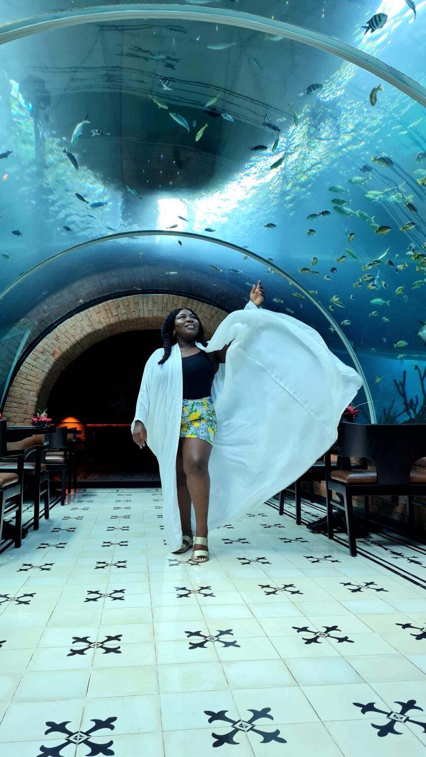 Elizabeth Agboola: Here's Why you Should Include Asian Countries in ...