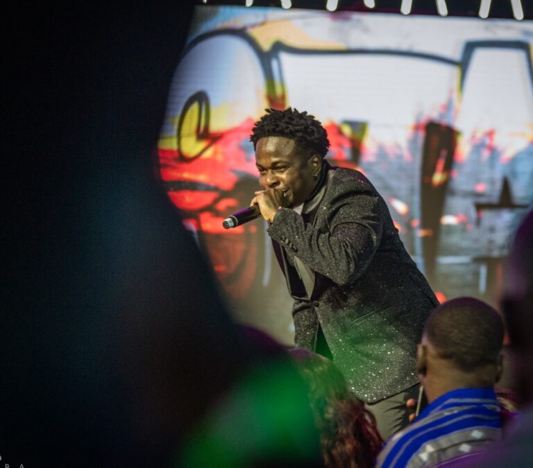 Asake, Davido, Tems, Fally Ipupa... See Who Won the 8th All Africa ...