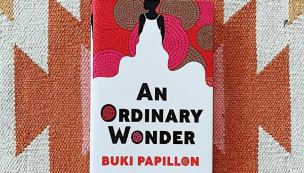 BN Book Review: An Ordinary Wonder by Buki Papillon | Review by E.B ...
