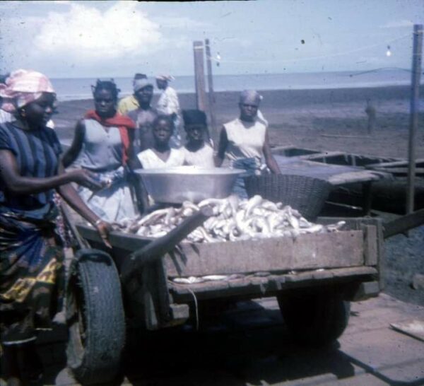 Ayetoro Town is Going Underwater But Help May Be On its Way | BellaNaija