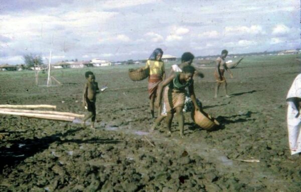 Ayetoro Town is Going Underwater But Help May Be On its Way | BellaNaija