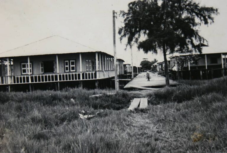 Ayetoro Town is Going Underwater But Help May Be On its Way | BellaNaija