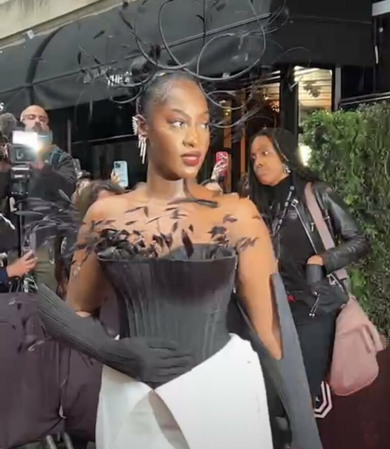 A Moment Please - Tems Wore A Robert Wun Dress To The 2023 Met Gala ...