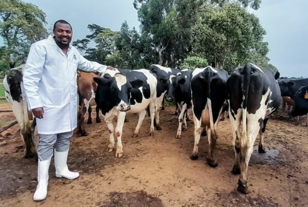 Bukura Agricultural College Sets the Bar High for Dairy Farming in ...