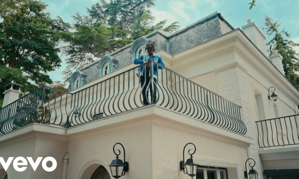 New Video: 1da Banton - Family | BellaNaija