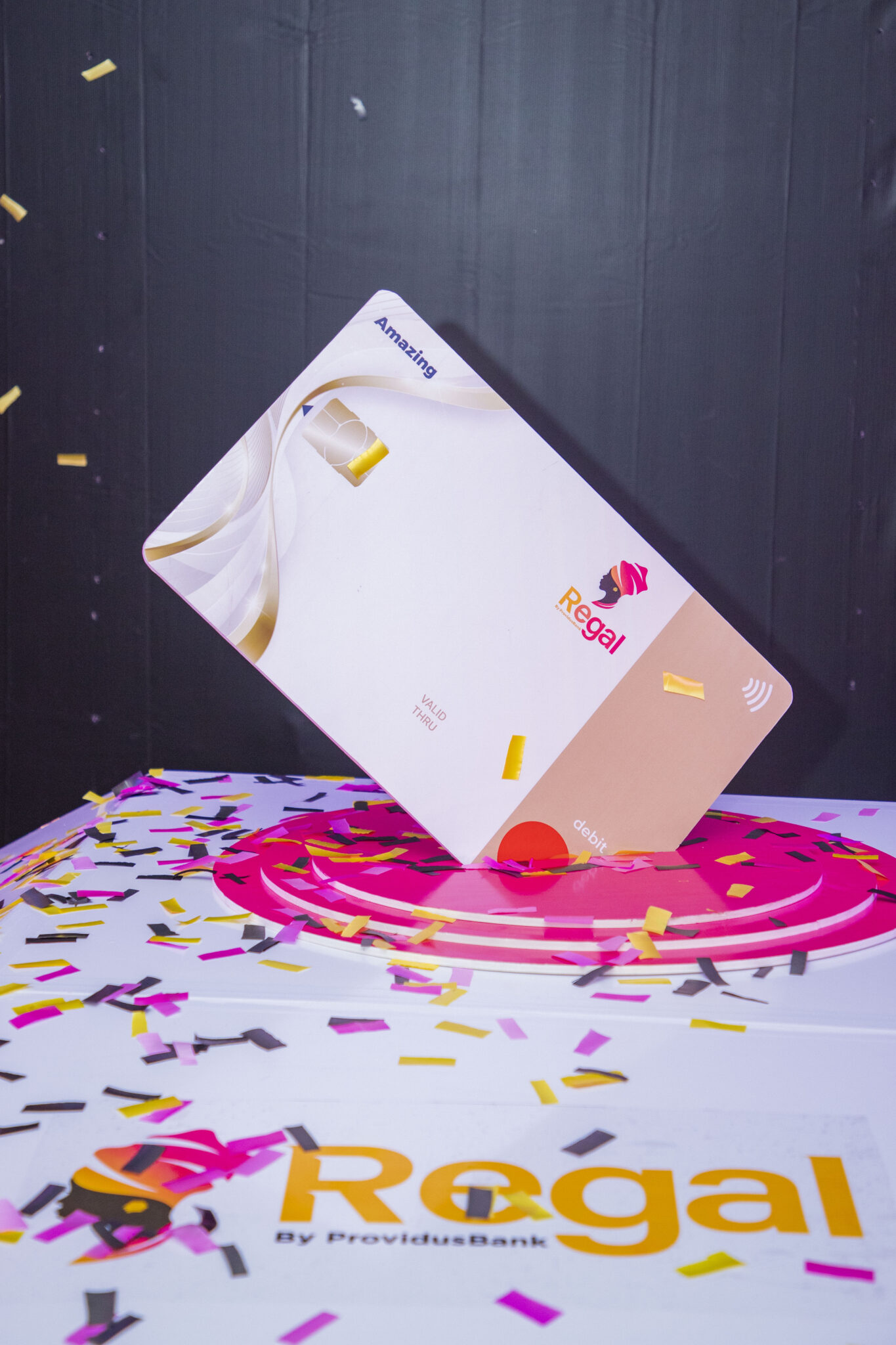 ProvidusBank Unveils REGAL to Celebrate Women’s Power and Resilience ...