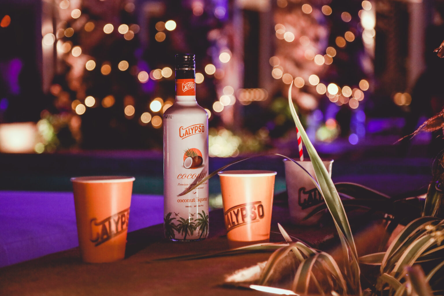 Calypso Relaunches with a Star-Studded Beach Party | BellaNaija