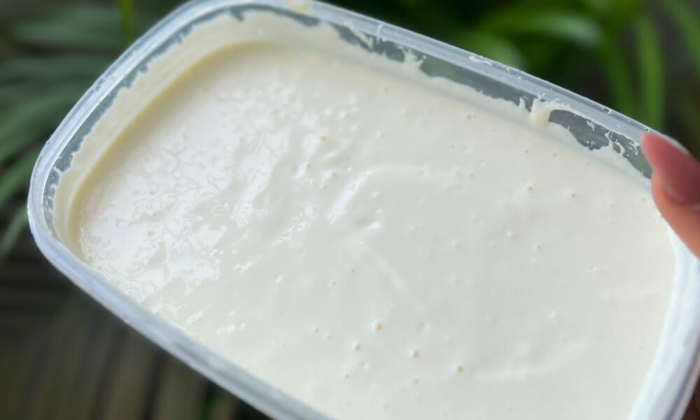 Whip Up Creamy Greek Yogurt at Home with Velvety Foodies' 2-Ingredient ...