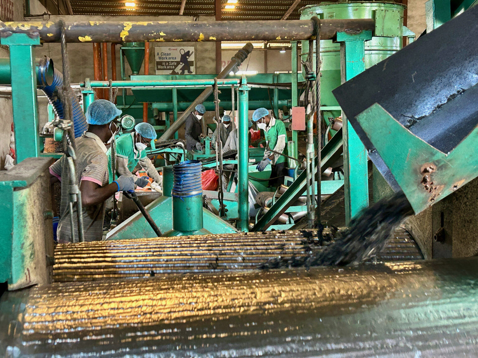 Ifedolapo Runsewe is Building a Greener Eco-friendly Future in Nigeria ...