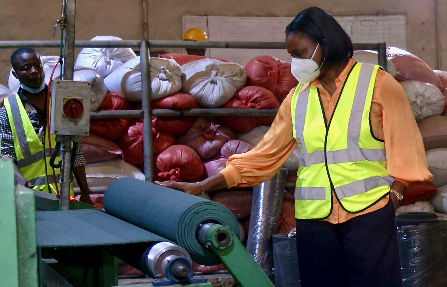 Ifedolapo Runsewe is Building a Greener Eco-friendly Future in Nigeria ...