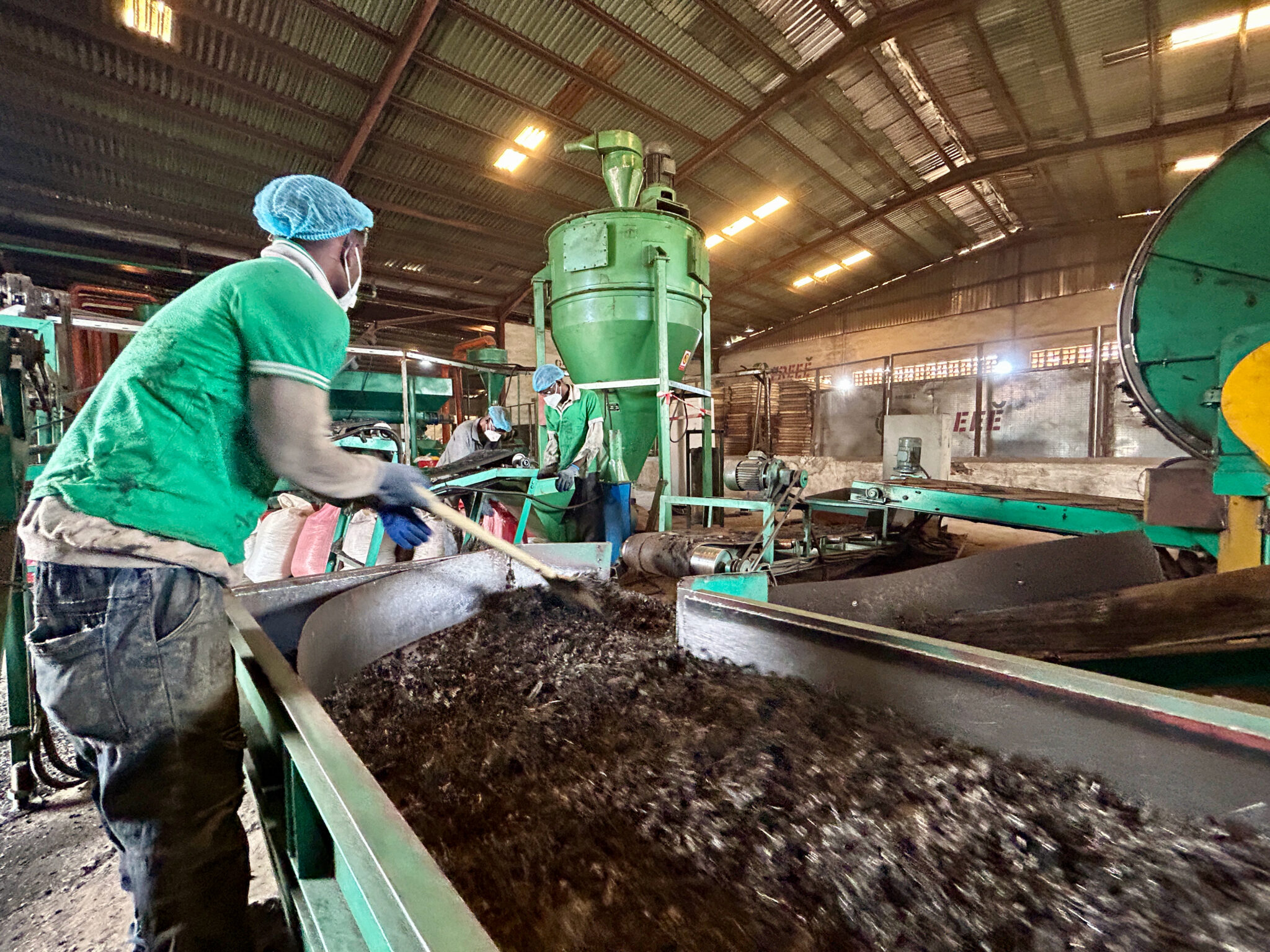 Ifedolapo Runsewe is Building a Greener Eco-friendly Future in Nigeria ...