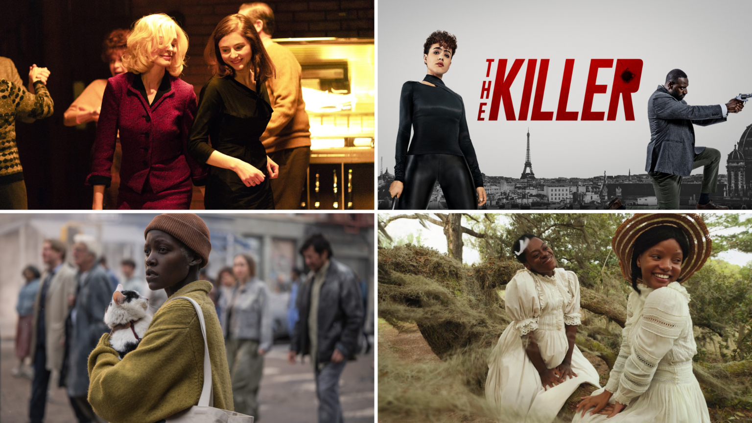 Showmax Brings Bold Women with Gripping Stories to Your Screen This ...