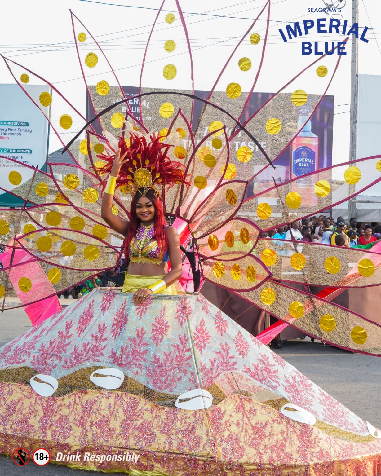 Calabar Carnival 2024: Experience the Vibrancy of Culture with Imperial ...